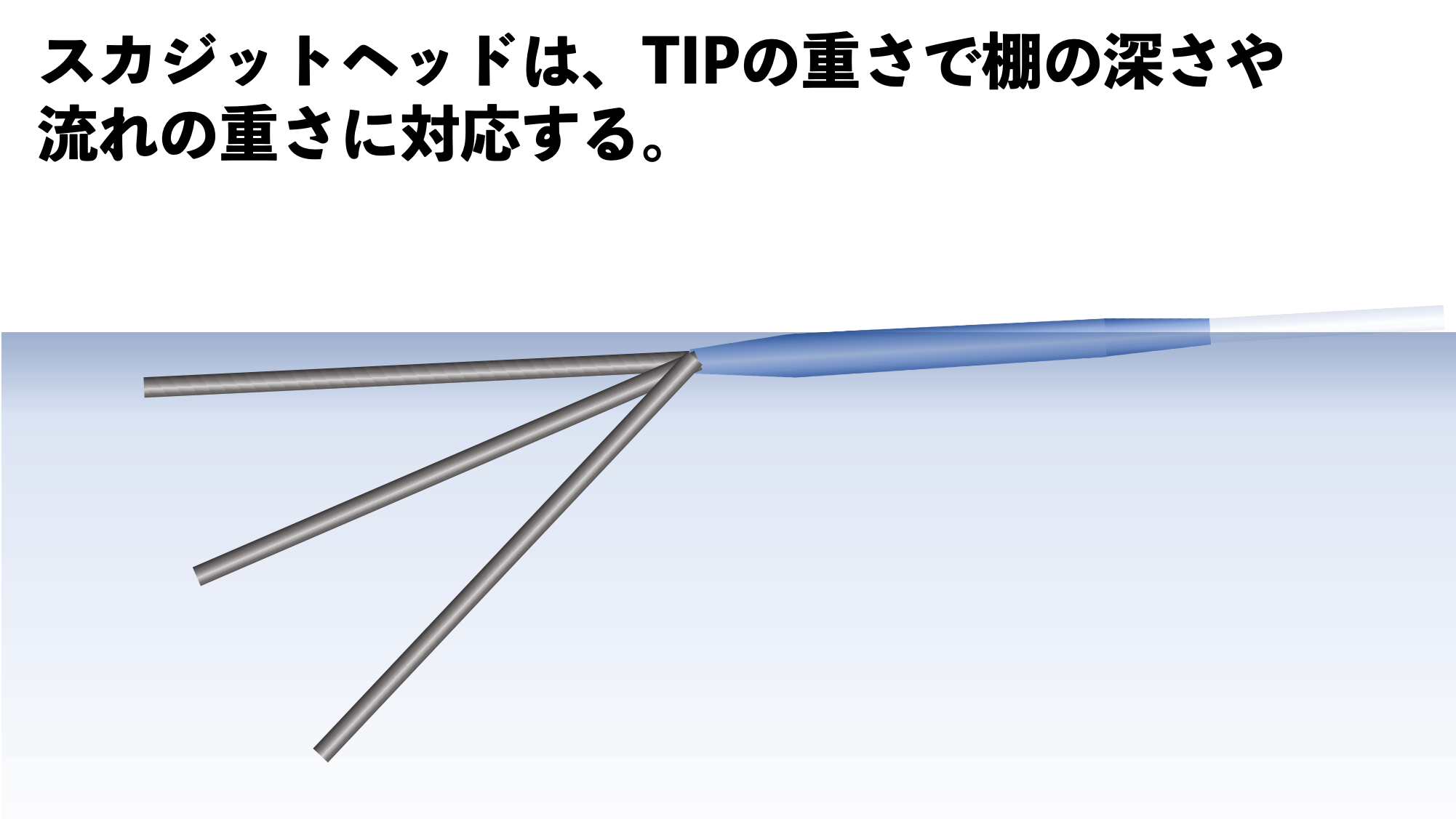 Skagit Line System | Skagit Casting Angler.com